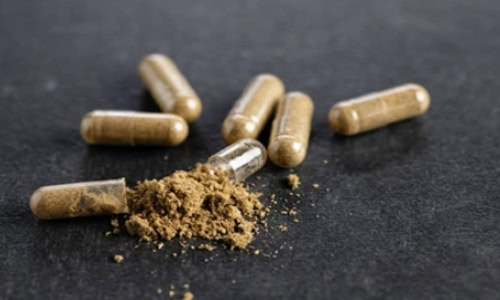 How To Fill Capsules | How Capsule Filling Machines Work