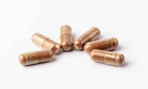 Capsule Manufacturing Process | Your Ultimate Guide